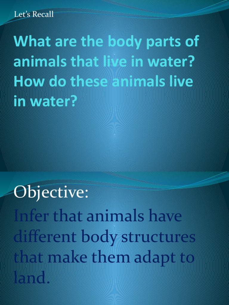 Grade 4 PPT Science Q2 Lesson 21 | PDF