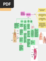 Contextura Corporal | PDF