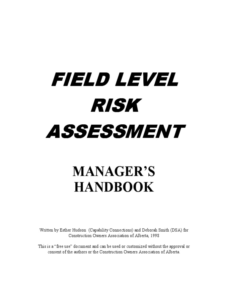 Field Level Risk Assessment | Download Free PDF | Risk Assessment | Risk