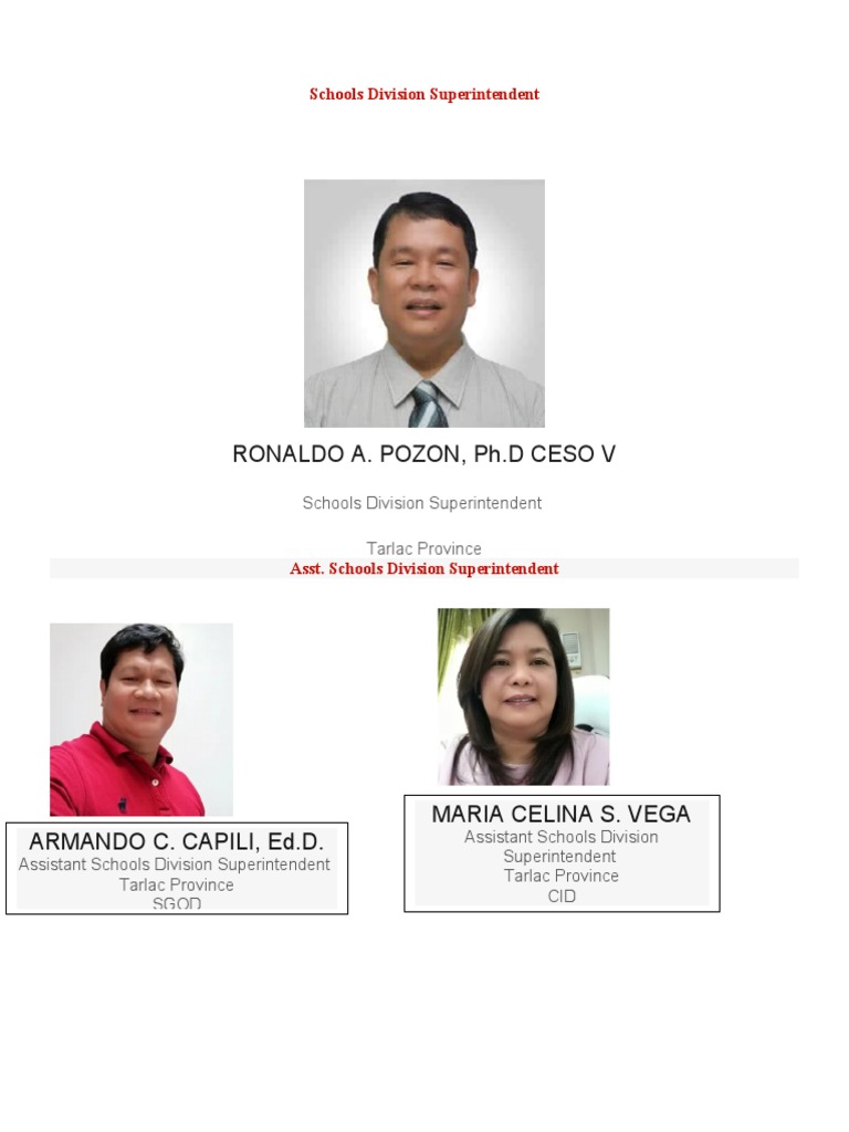 Ronaldo A. Pozon, PH.D Ceso V: Schools Division Superintendent | PDF
