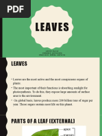 Leaf Nomenclature Cards | PDF