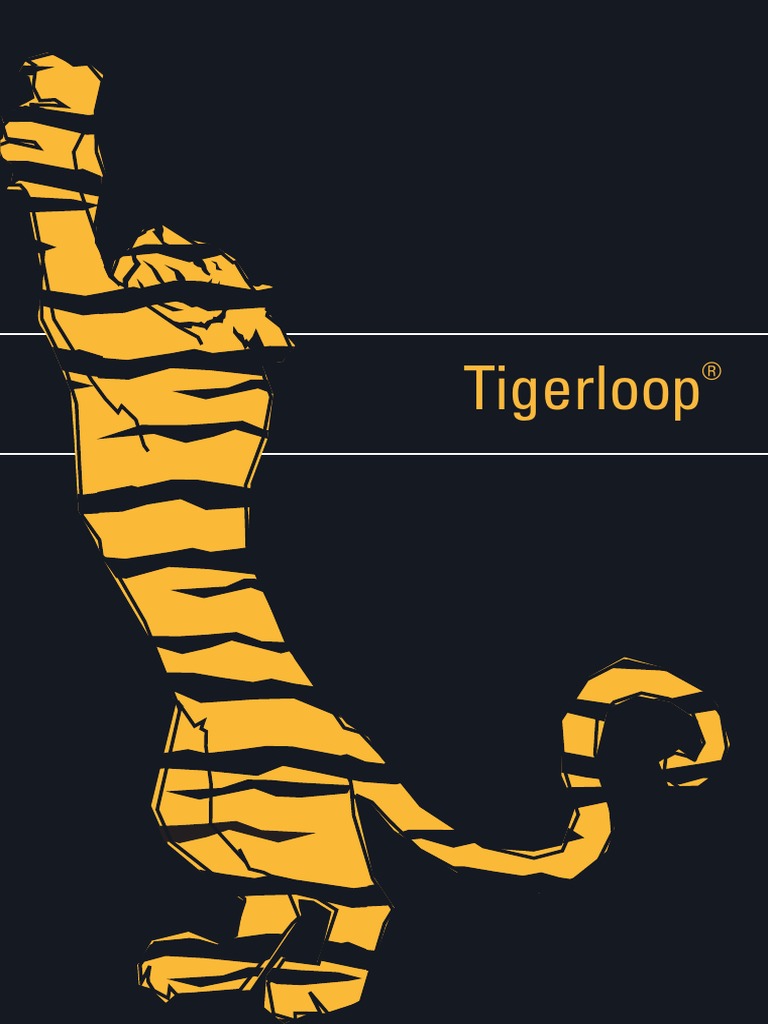 Tiger Loop | PDF | Bomba | Combustible diesel