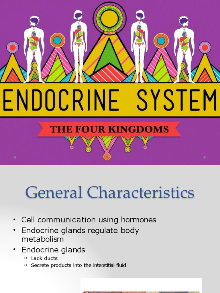 Endocrine System | PDF | Hormone | Endocrine System