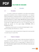Guide de culture du macabo au Cameroun | PDF | Fertilisant | Maïs