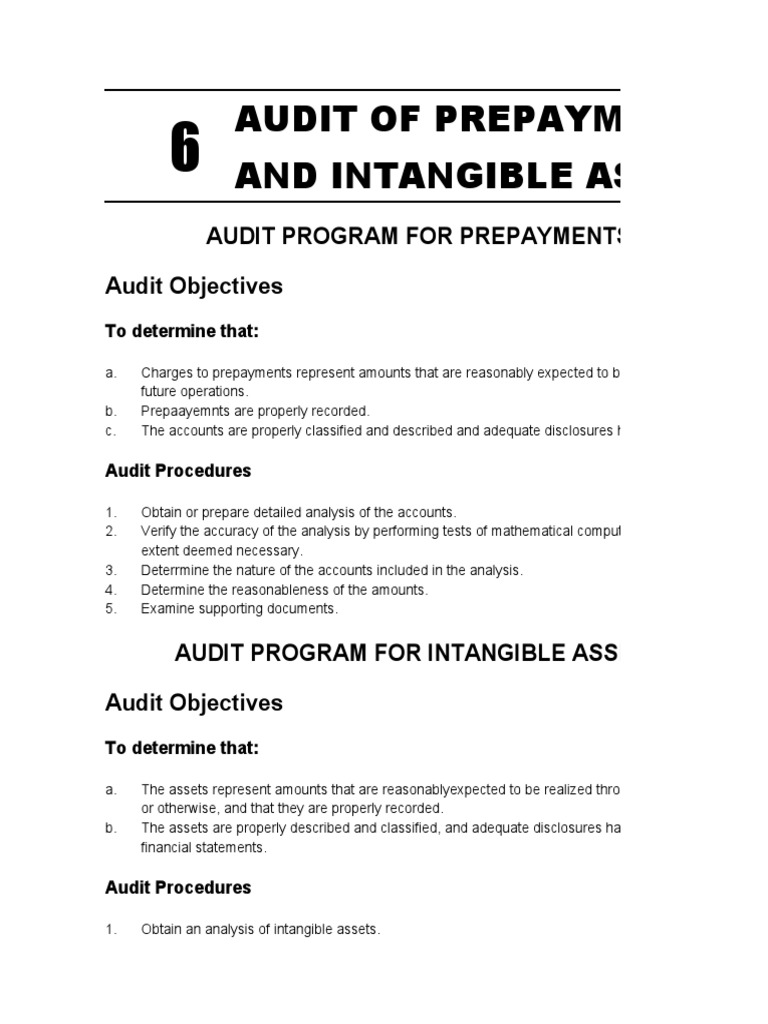 Audit of Prepayments and Intangible Assets | PDF | Intangible Asset | Audit