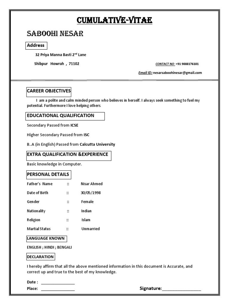 Cumulative Vitae | PDF