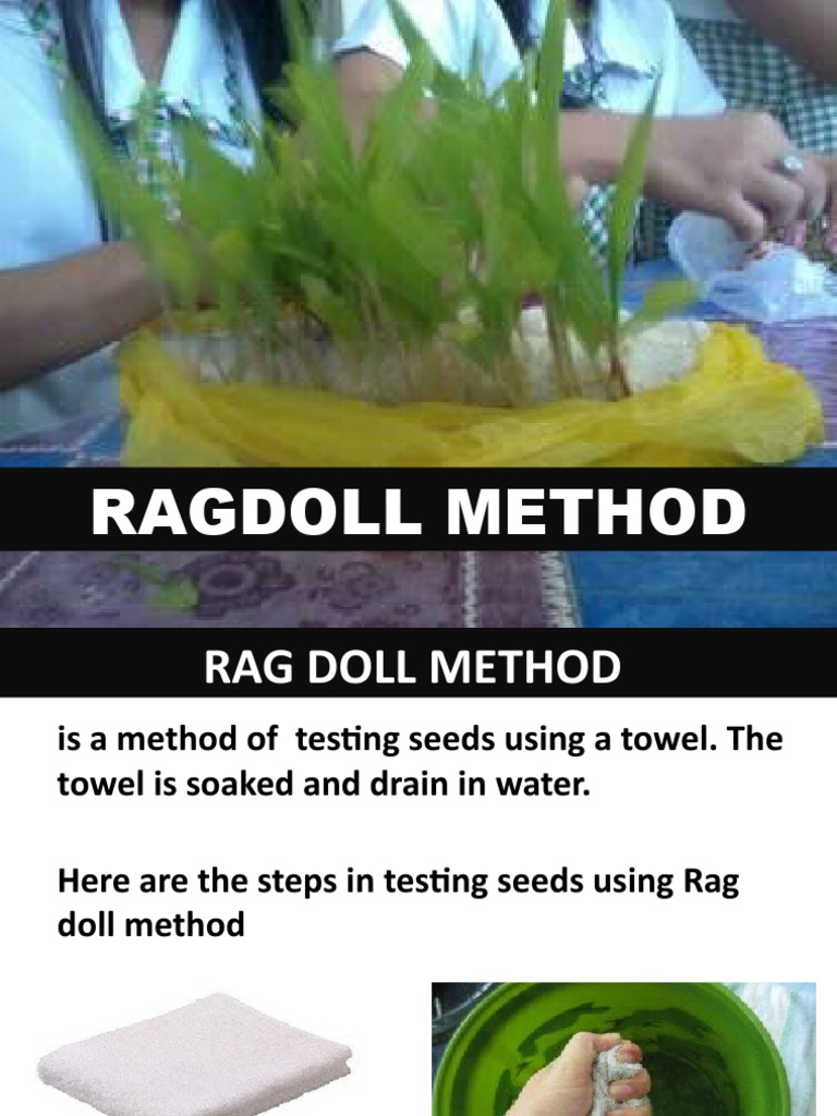 Ragdoll Method | PDF