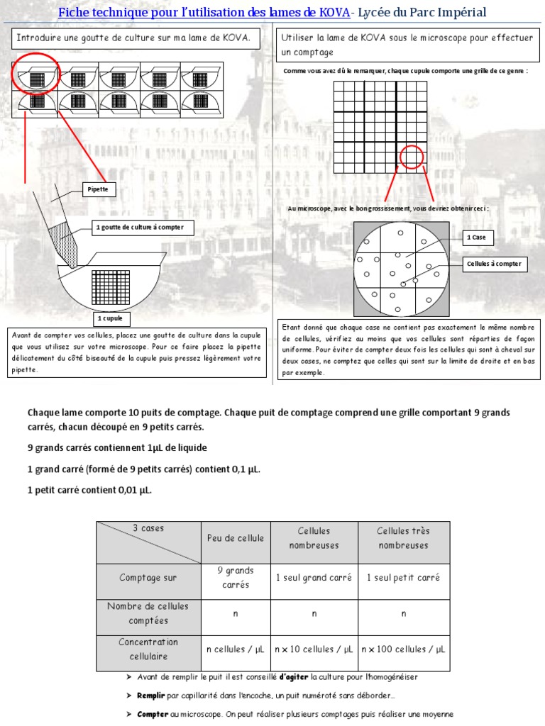 Fiche technique des lames KOVA | PDF | Cellule (Biologie) | Biologie
