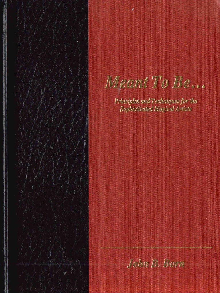 Johnborn Meanttobepdf | PDF