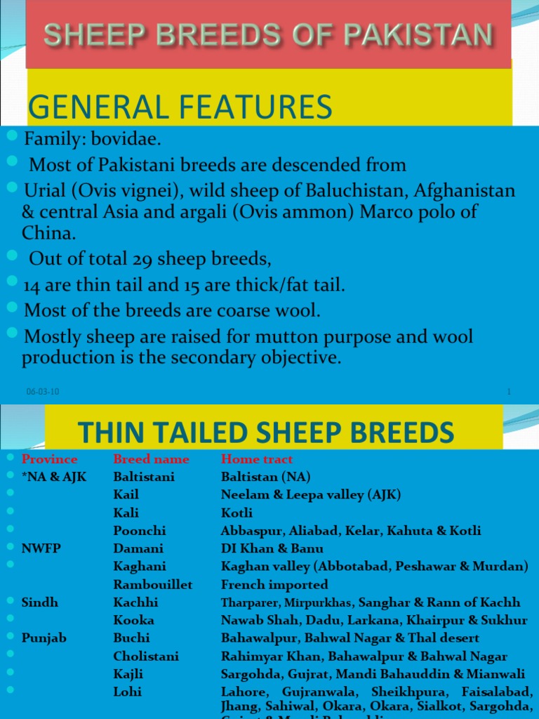 Sheep And Goat Breeds Of Pakistan 05 04 10 A Pdf Caprids Mammals