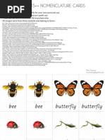 Sanitary Defect Codes Overview | PDF | Hexapoda | Insects And Humans