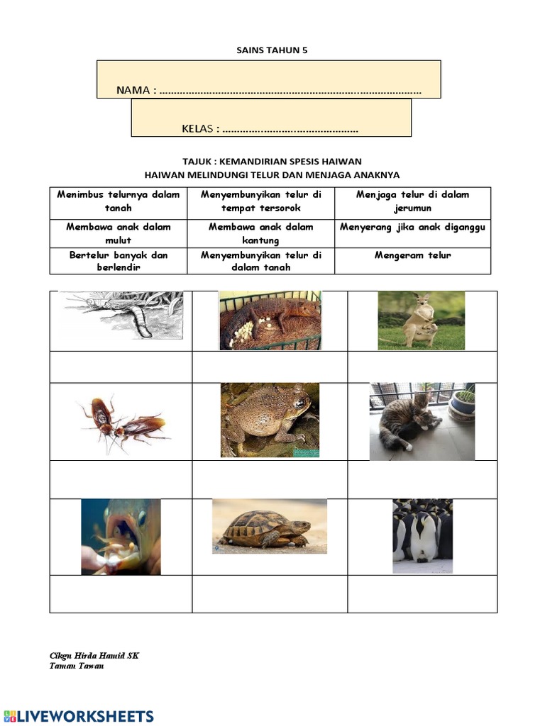Kemandirian Spesies thn5 | PDF