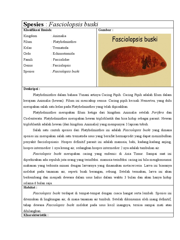 Morfologi dan Habitat Fasciolopsis Buski | PDF | Sains & Matematika