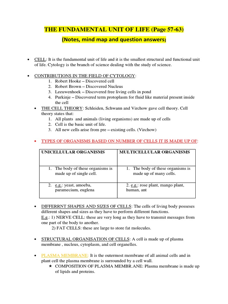 Fundamental Unit of Life Overview | PDF | Cell (Biology) | Cell Nucleus
