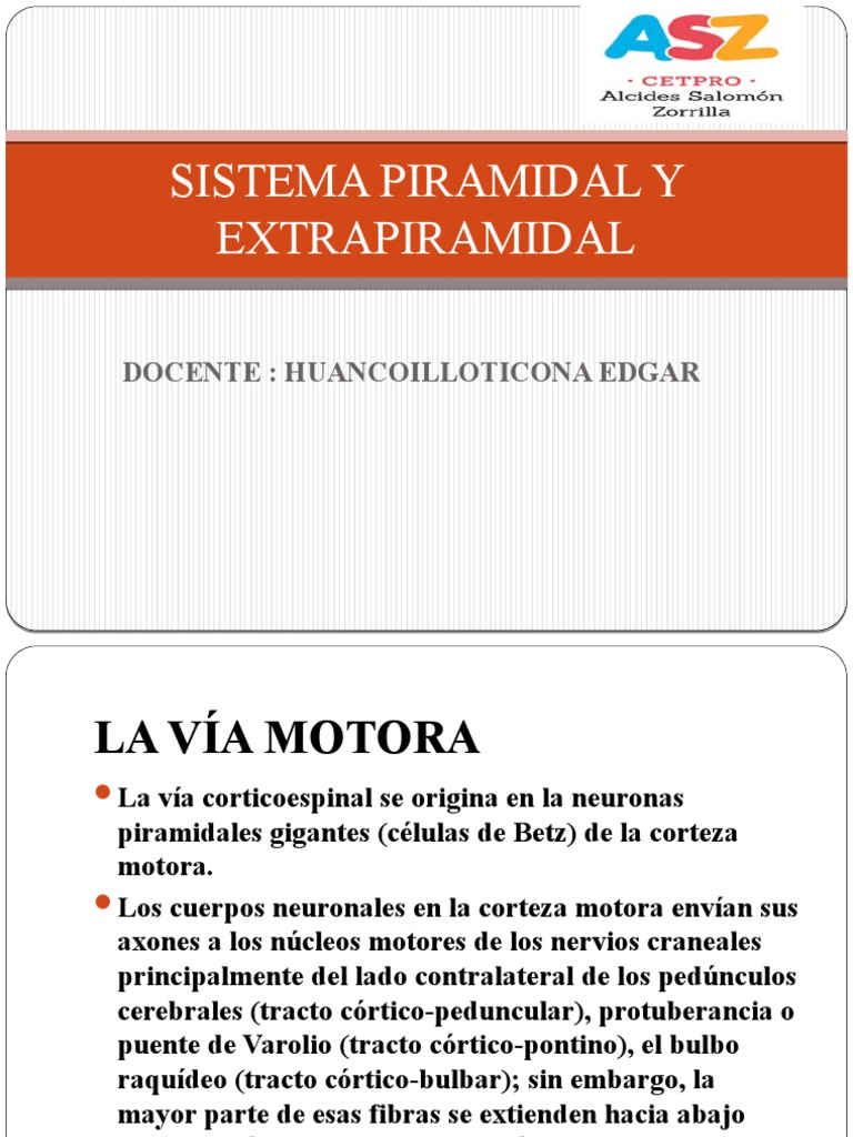 6-Via Piramidal y Extrapiramidal | Descargar gratis PDF | Ganglios ...
