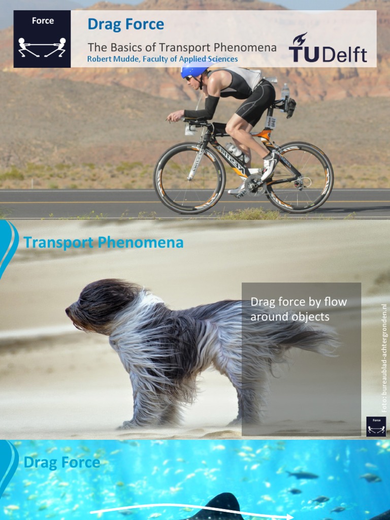 Drag Force Fundamentals Explained | PDF | Drag (Physics) | Mechanics