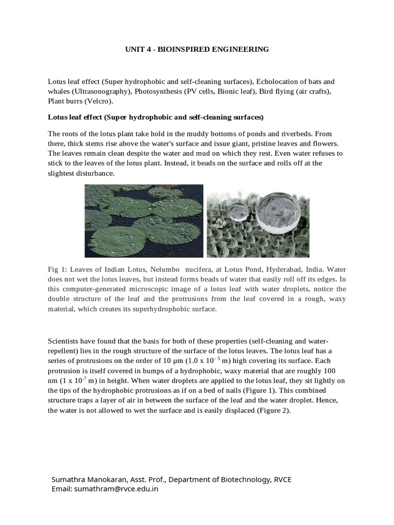 Unit 4 - Bioinspired Engineering | PDF | Photosynthesis | Solar Cell