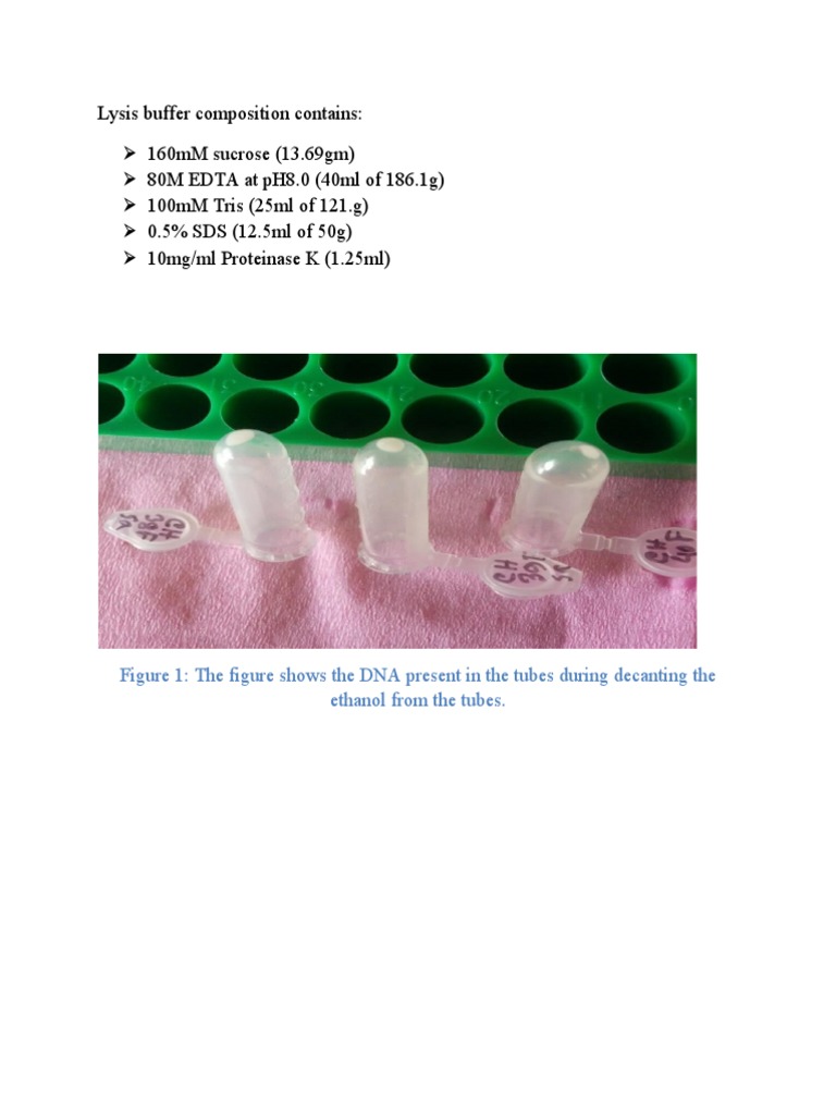 Lysis Buffer Composition for DNA Extraction | PDF