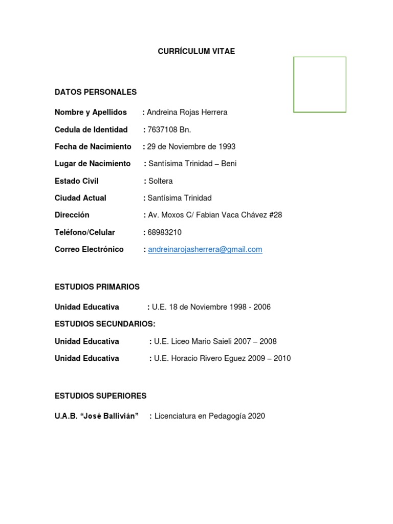 Currículum Andre | PDF