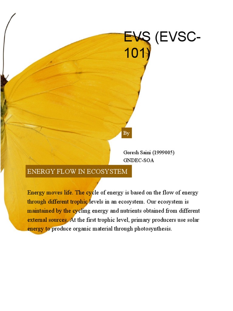 Evs (Evsc-101) : Energy Flow in Ecosystem | PDF | Ecosystem | Food Web