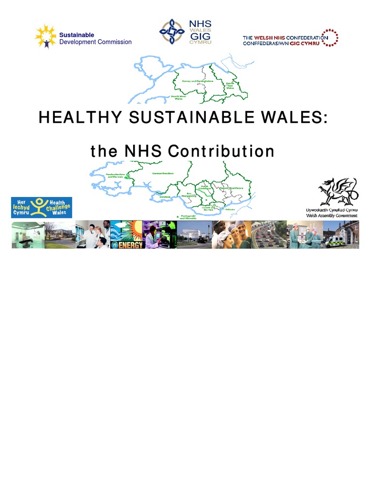 Healthy Sustainable Wales Toolkitl | PDF | Sustainability | Health Care