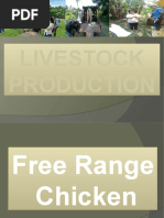 Kenchic Broiler Manual PDF | PDF | Birds | Hvac