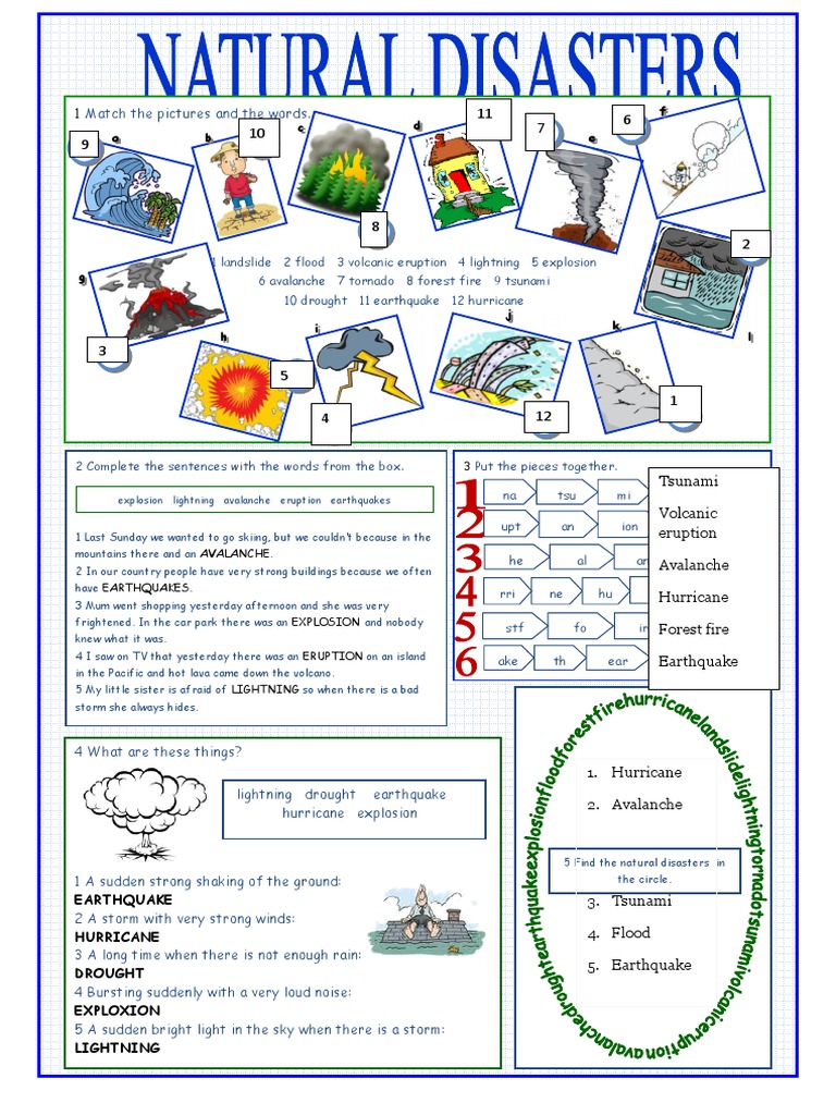 Natural Disasters Vocabulary | PDF | Types Of Volcanic Eruptions | Volcano