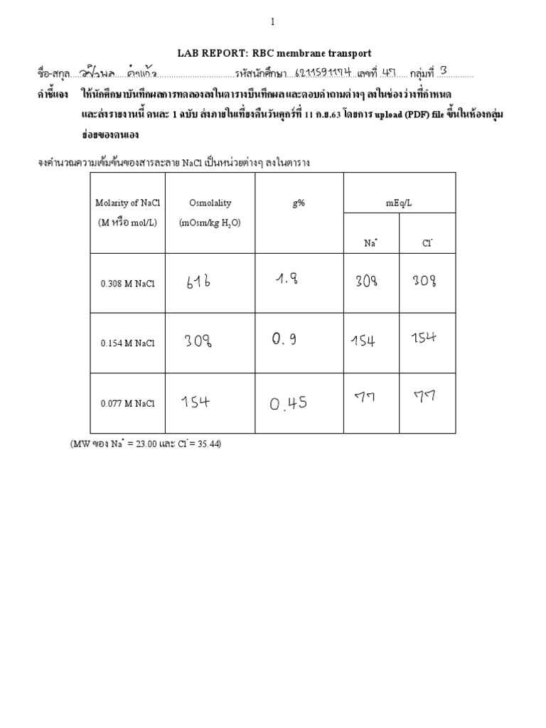 Lab Report RBC 6211591174 | PDF