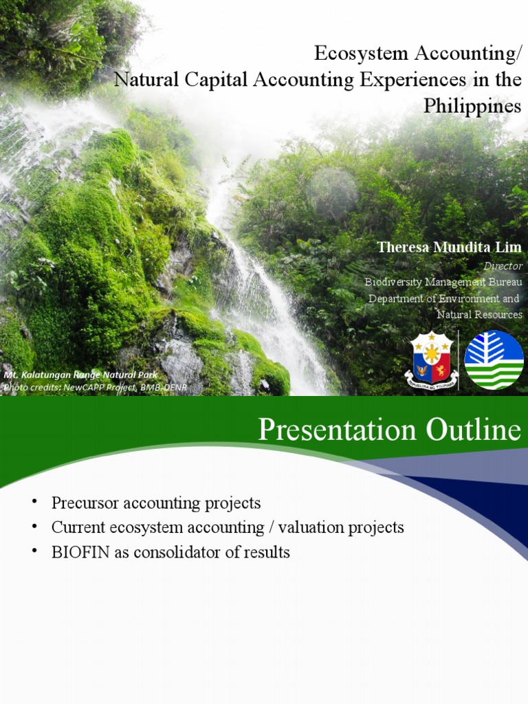 Ecosystem Accounting in the Philippines | PDF | Economies | Natural ...