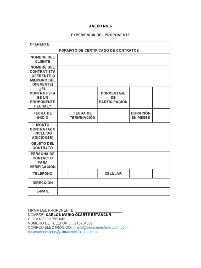ANEXO No 6 EXPERIENCIA DEL PROPONENTE | PDF