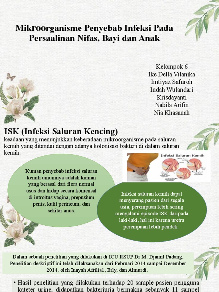 K6 - 2mikroorganisme Penyebab Infeksi Persalinan, Nifas, Bayi Dan Anak ...