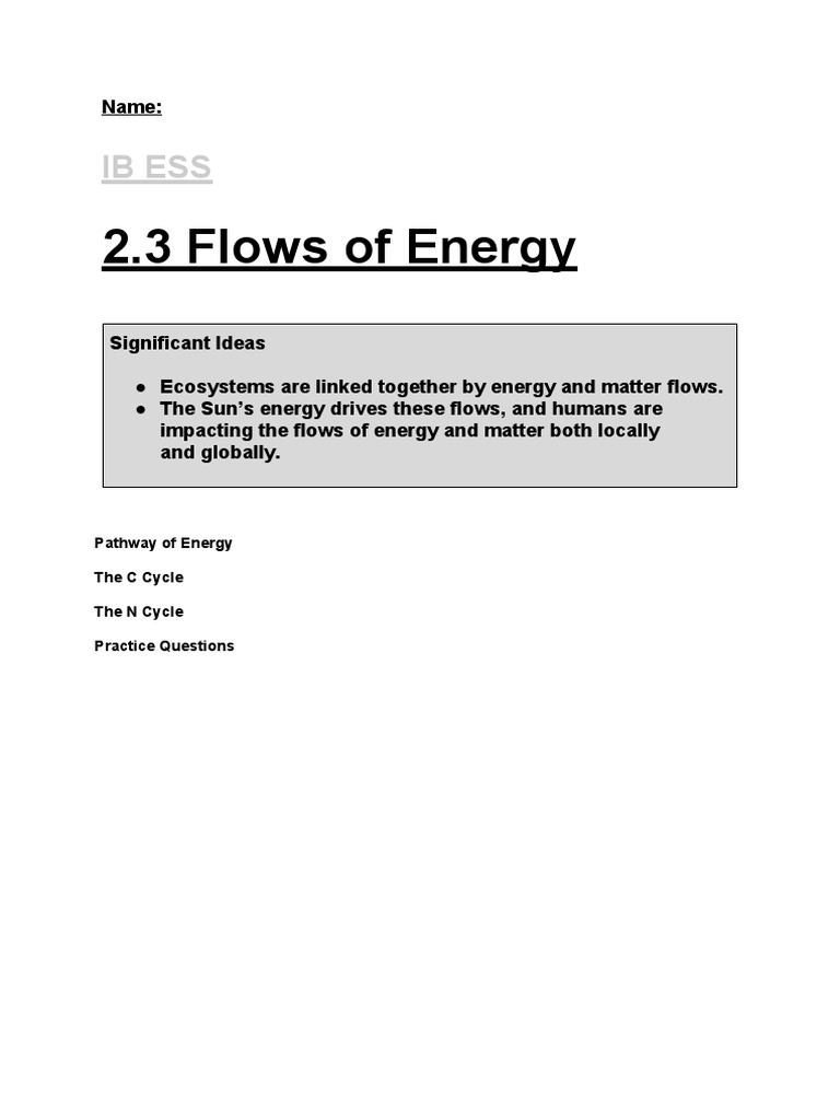 2.3 Flows of Energy NOTES | PDF