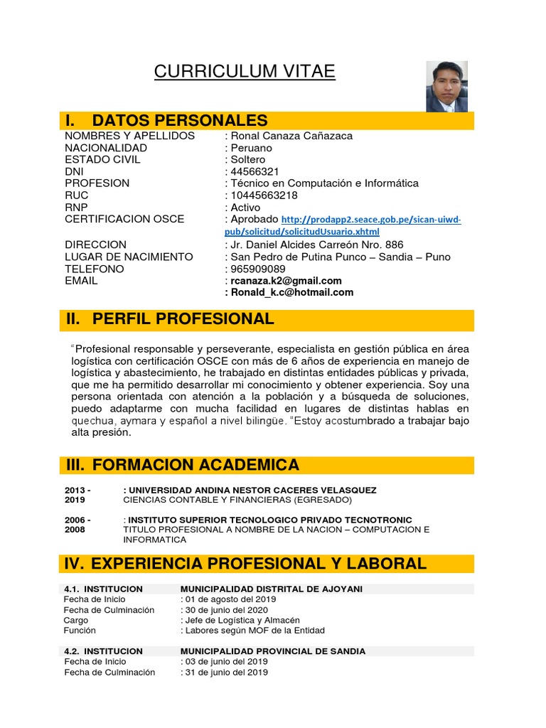 CV Documentado 31-06-2020 | PDF