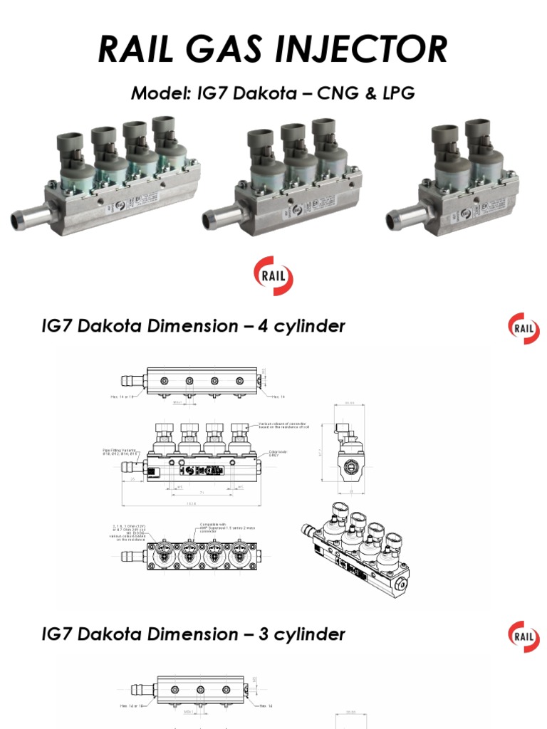 Rail Gas Injector - Ig7 Dakota | PDF | Flow Measurement | Equipment