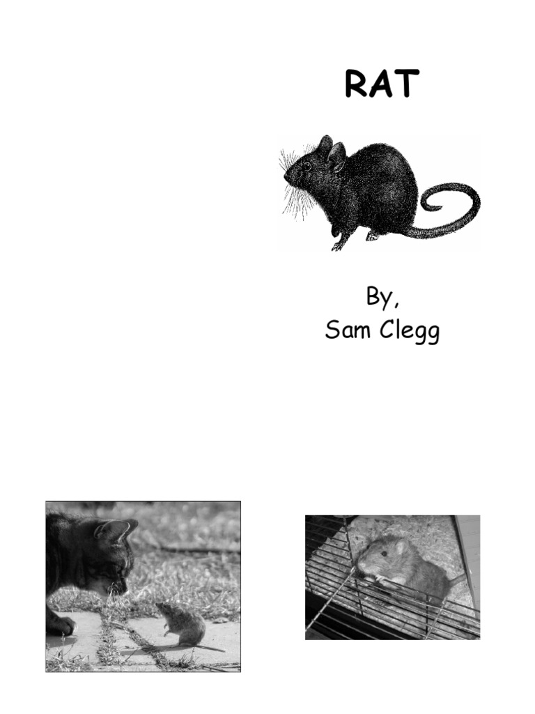 RATS | PDF