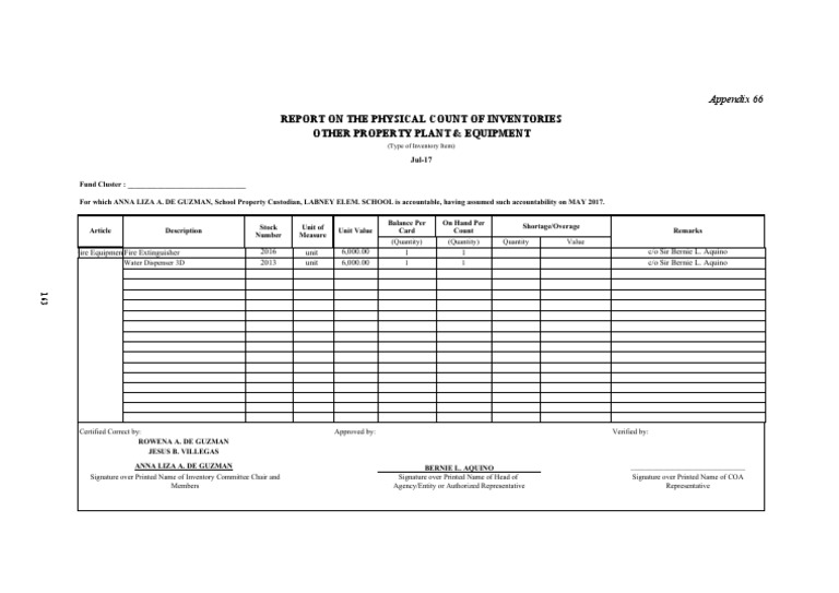 Appendix 66 - Report On Physical Count of Inventories 13 | PDF | Inventory
