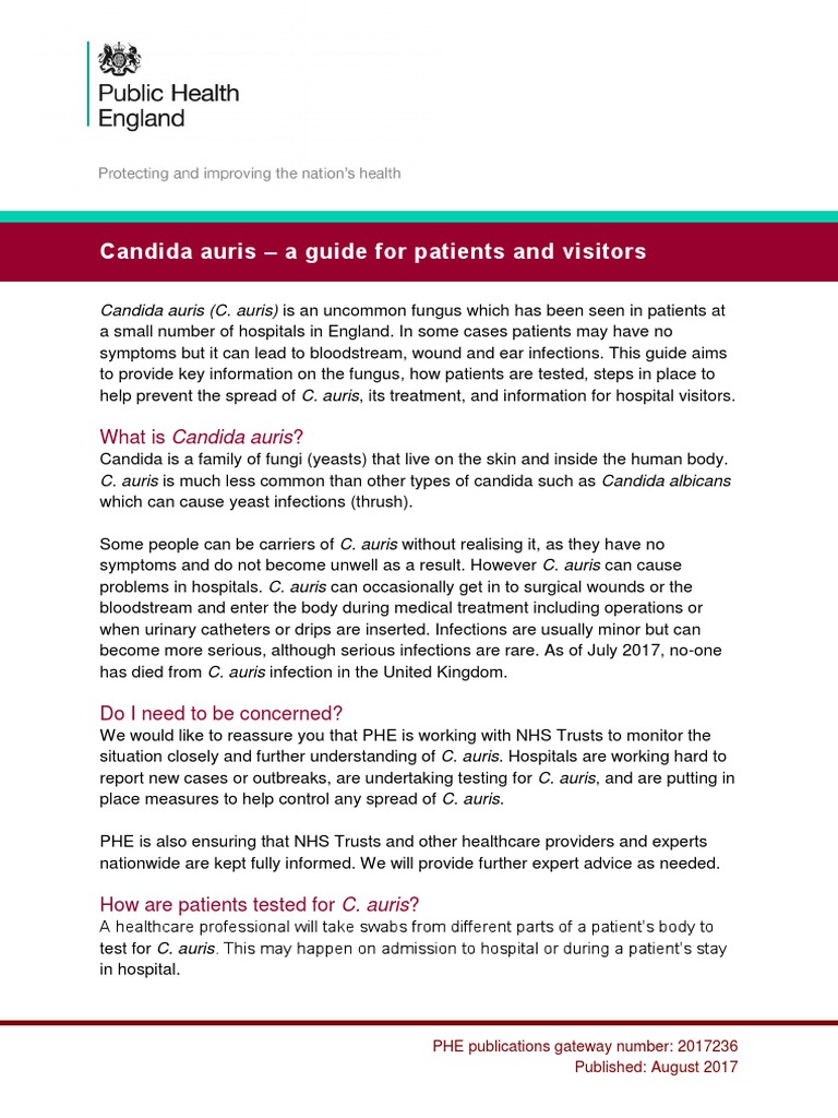 Candida Auris - A Guide For Patients and Visitors | PDF | Candida ...