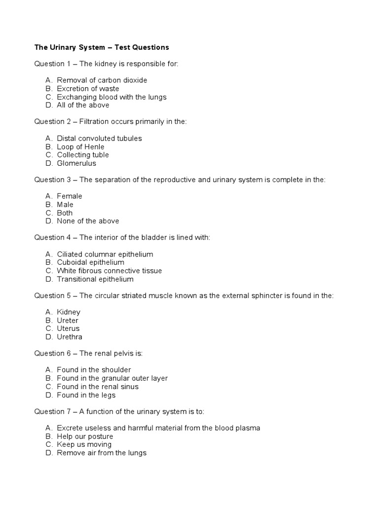 The Urinary System - Test Questions | PDF | Urinary System | Kidney