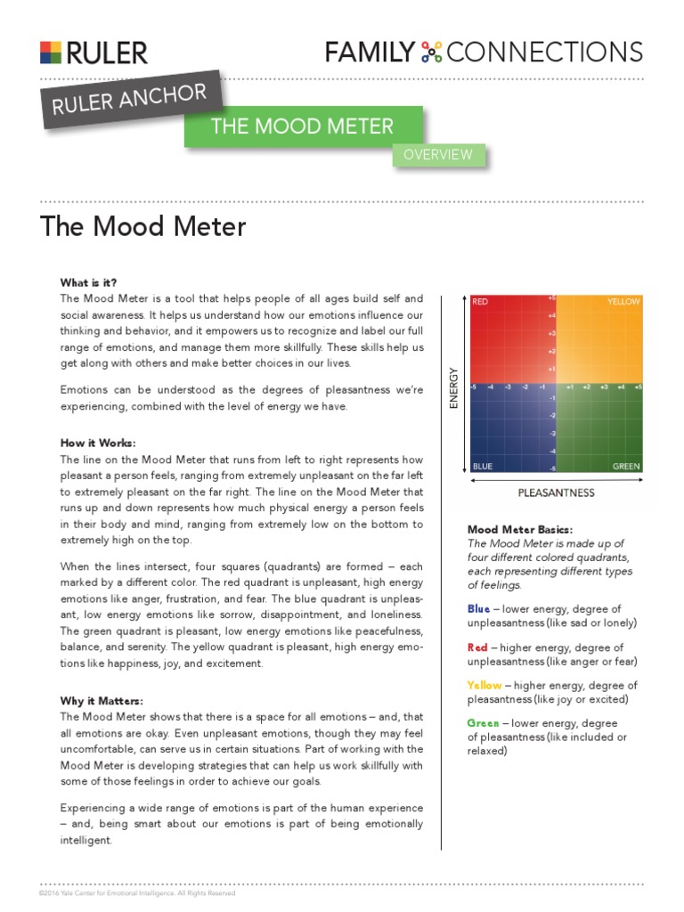 MoodMeter FC Grade2 | PDF | Emotions | Mental Health