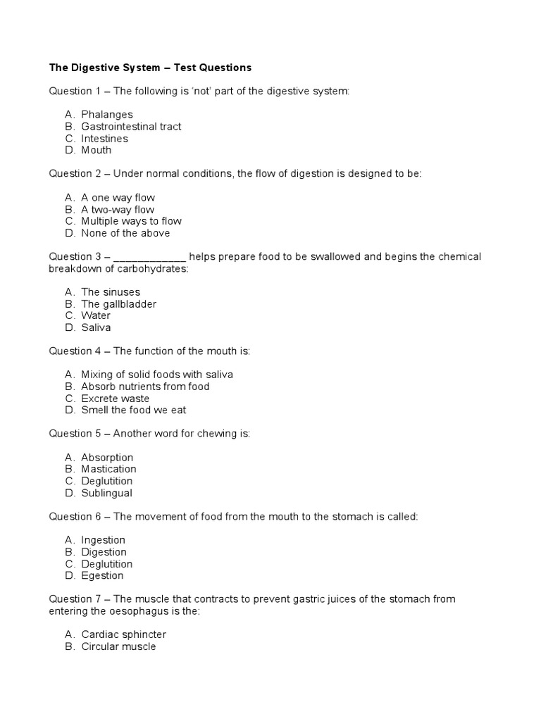 The Digestive System - Test Questions | PDF | Human Digestive System ...