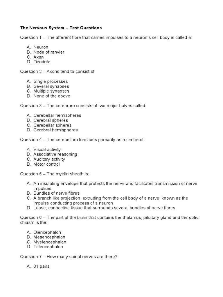 The Nervous System - Test Questions | PDF | Central Nervous System ...