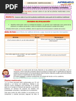 Informe 100 Plantas Medicinales Selva Peruana | PDF