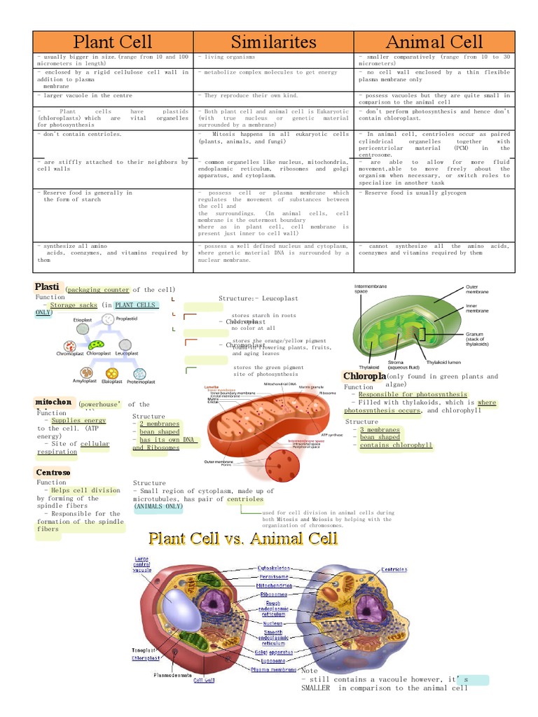 Introduction To General Biology | Download Free PDF | Cell (Biology ...