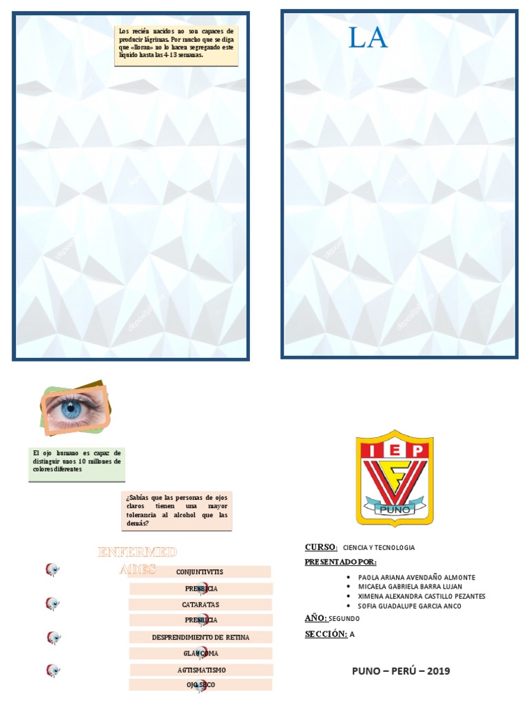 Dip Tico | PDF | Ojo humano | Percepción visual
