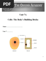 SHS STEM Bio1 Q1 Week 3 Module 5 - Cell Modification | PDF | Small ...