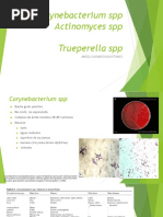 Características del exudado purulento | PDF | Infección | Medicina CLINICA