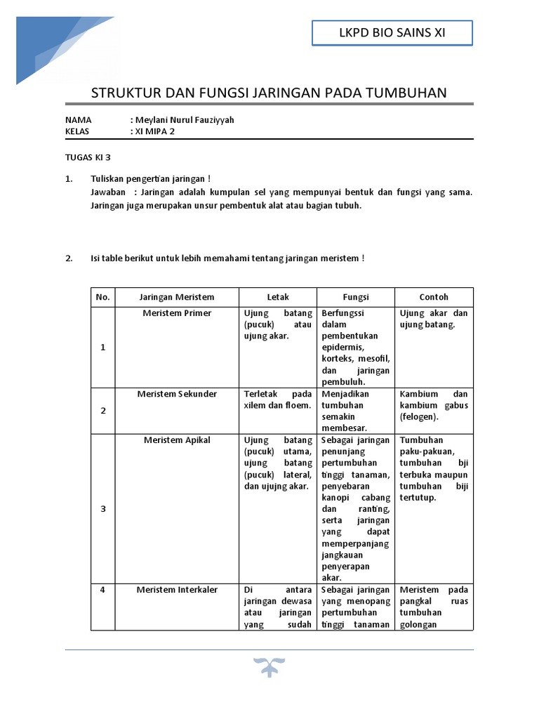 Jaringan Tumbuhan dalam Bio Sains XI | PDF | Sains & Matematika