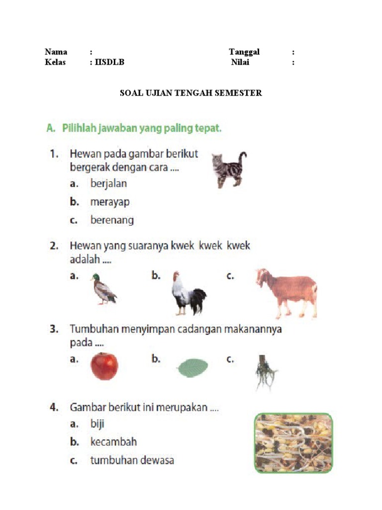 Soal IPA Tunarungu Kls 2 | PDF