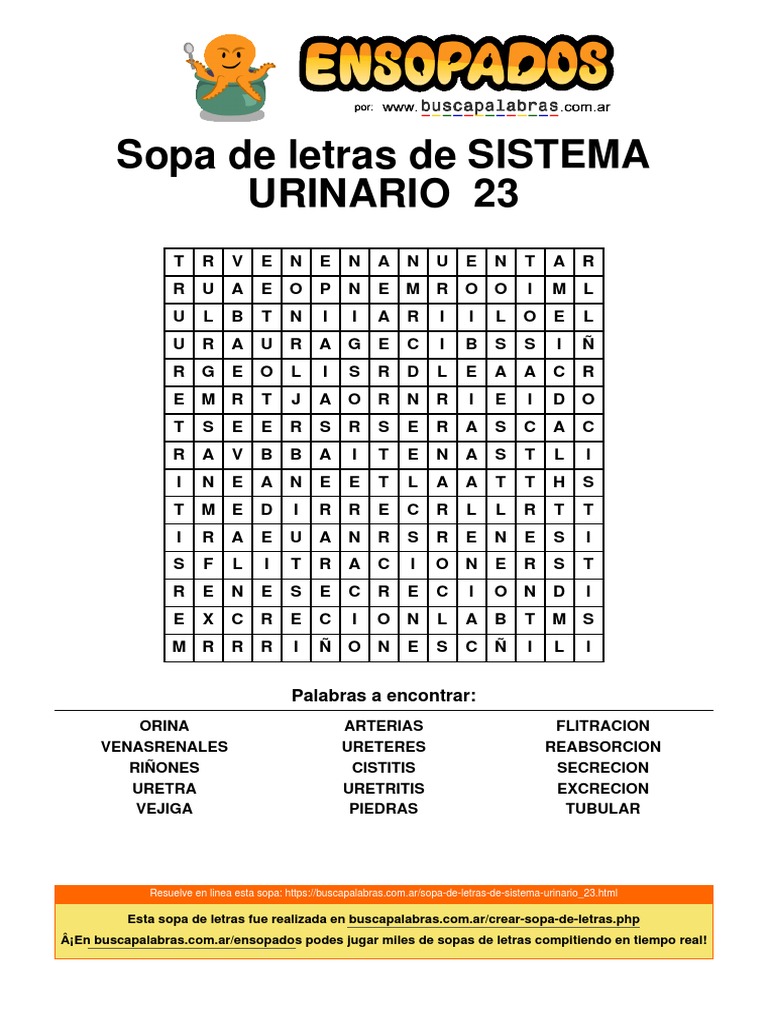 Sopa de Letras de Sistema Urinario - 23 | PDF | Sistema urinario | Riñón