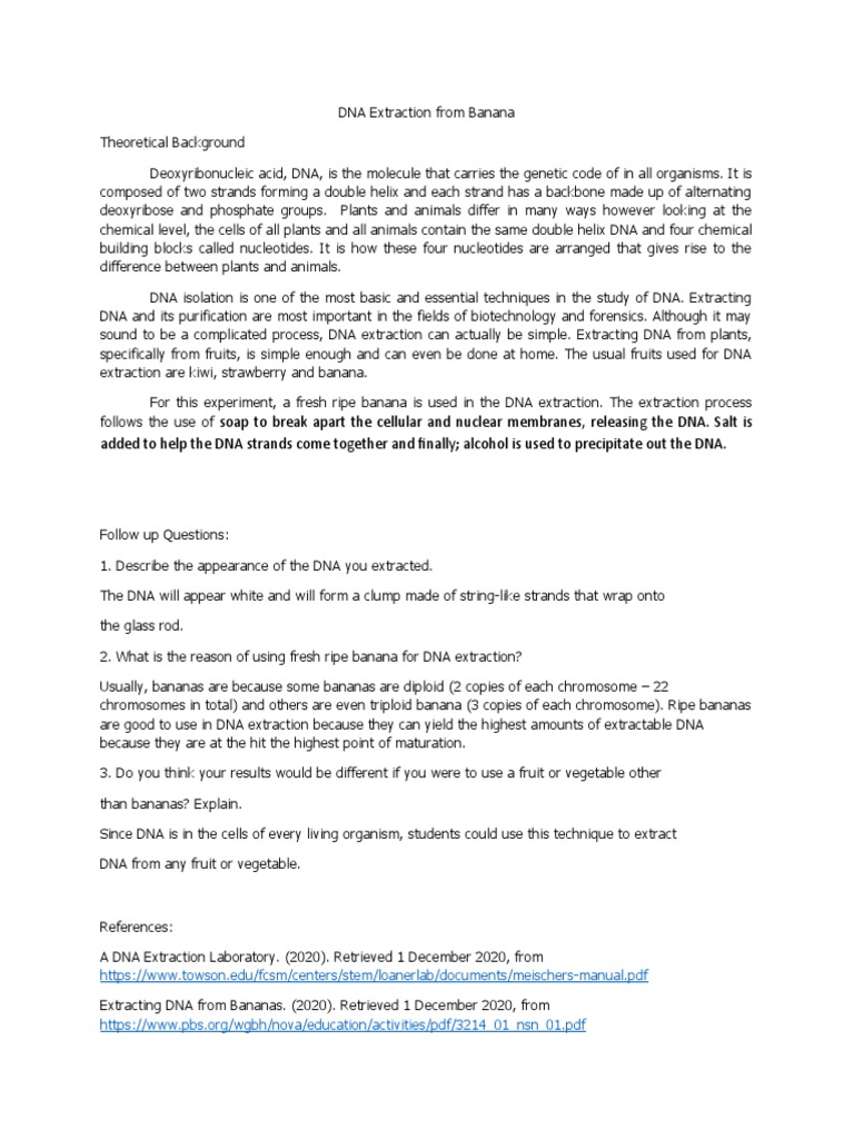 Banana DNA Extraction Experiment Guide | PDF | Dna | Cell (Biology)
